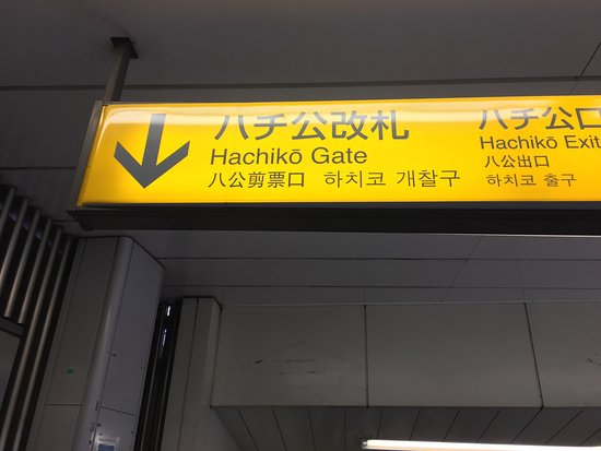 How to Get to The Hachiko Memorial - Japanalytic